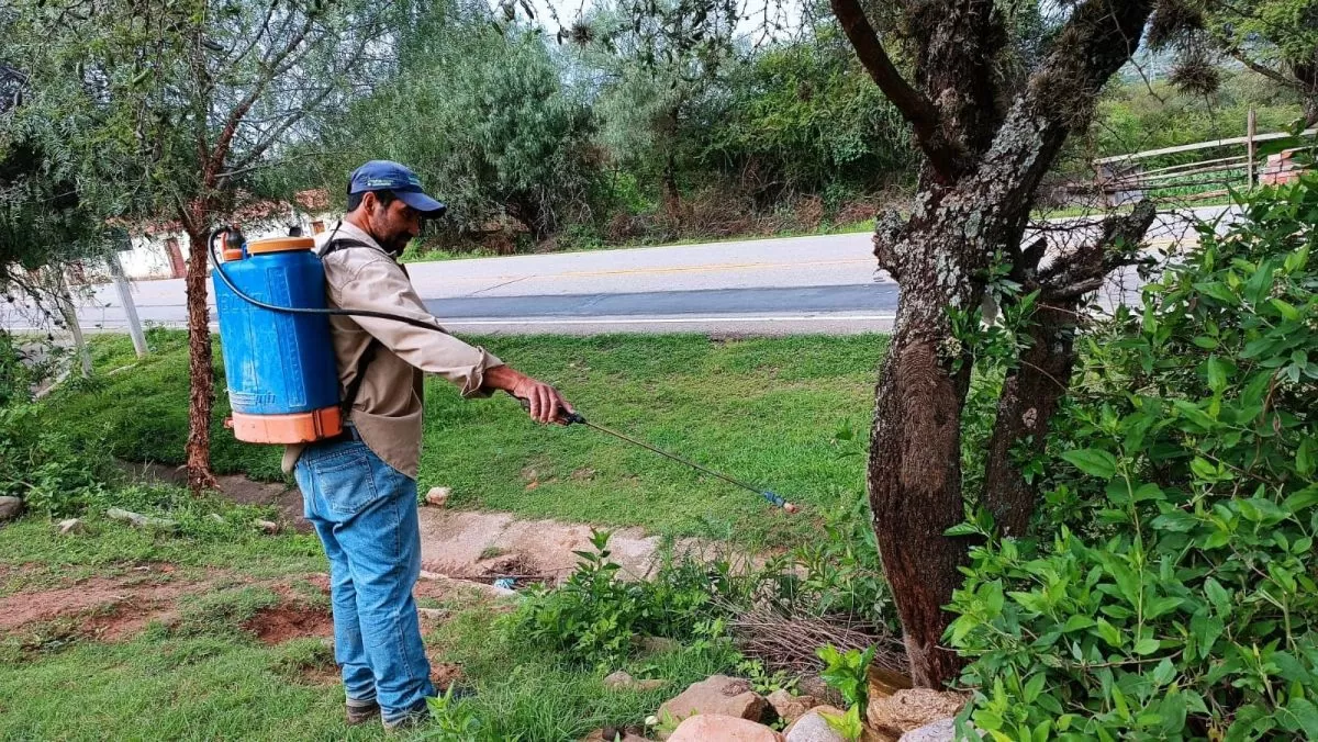 LA RUPA RUPA AFECTA A CUATRO MUNICIPIOS TARIJA – SCA Canal Digital ...