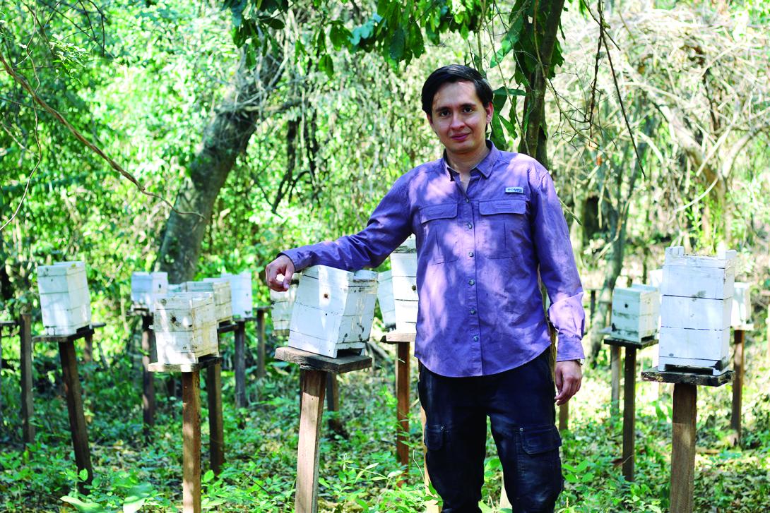 Del zumbido al éxito: joven cruceño convierte a las abejas en motor de ...