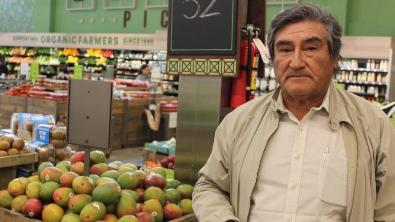 Piura: 12 mil hectáreas de mango kent en el valle de San Lorenzo se ...