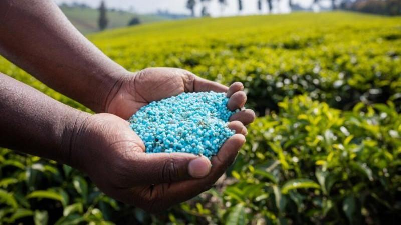 Importaciones de fertilizantes por parte de Perú sumaron US$378 ...